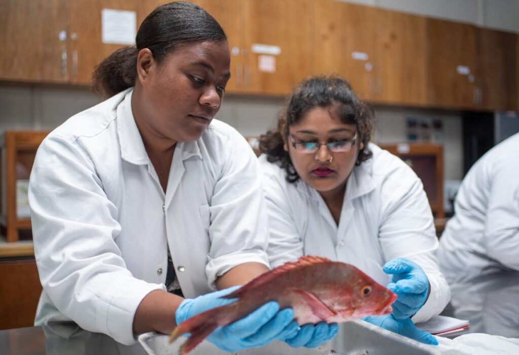 Become a Fisheries specialist at FNU - The Fiji Times