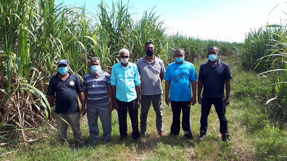 Cane farmers to receive four cane payments - The Fiji Times