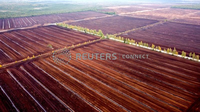 Energy from bogs: Estonian scientists use peat to make batteries - The ...