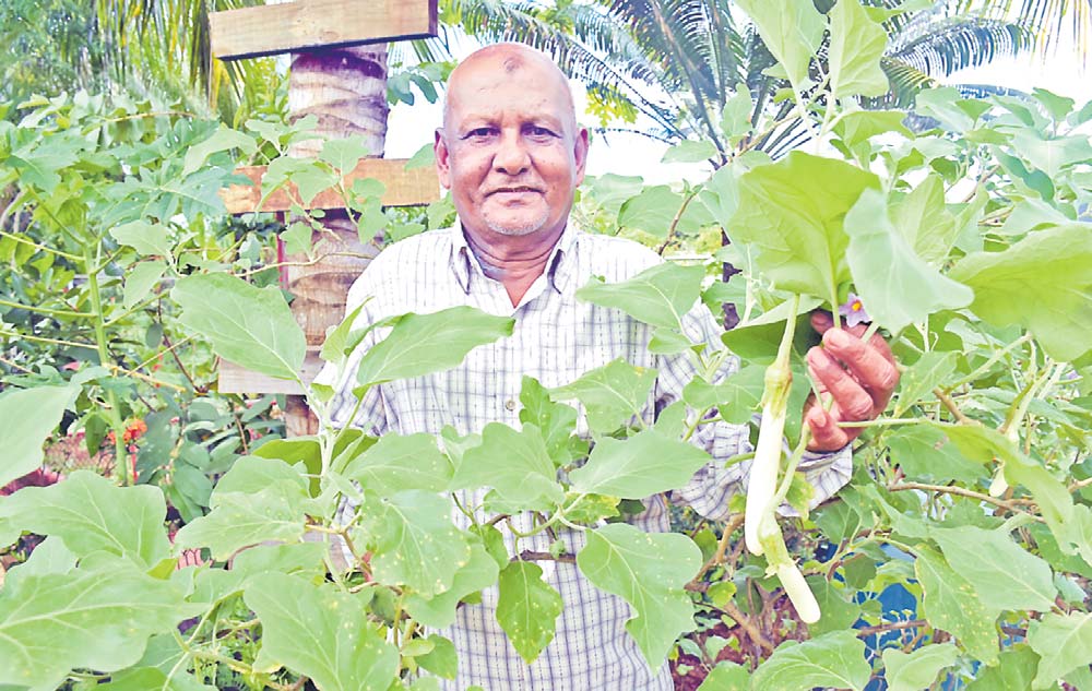 Letters to the Editor - Saturday, January 29, 2022 - The Fiji Times