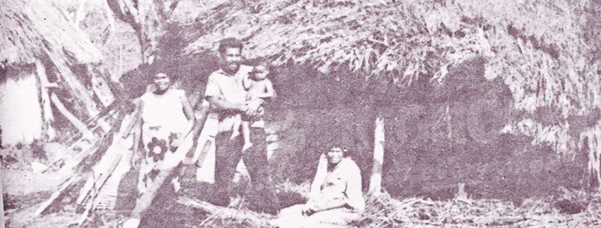 152 years on: Villagers survive on wild yams - The Fiji Times