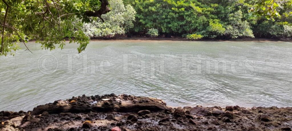The birth and home of the shark god Dakuwaqa - The Fiji Times