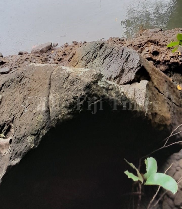 The birth and home of the shark god Dakuwaqa - The Fiji Times