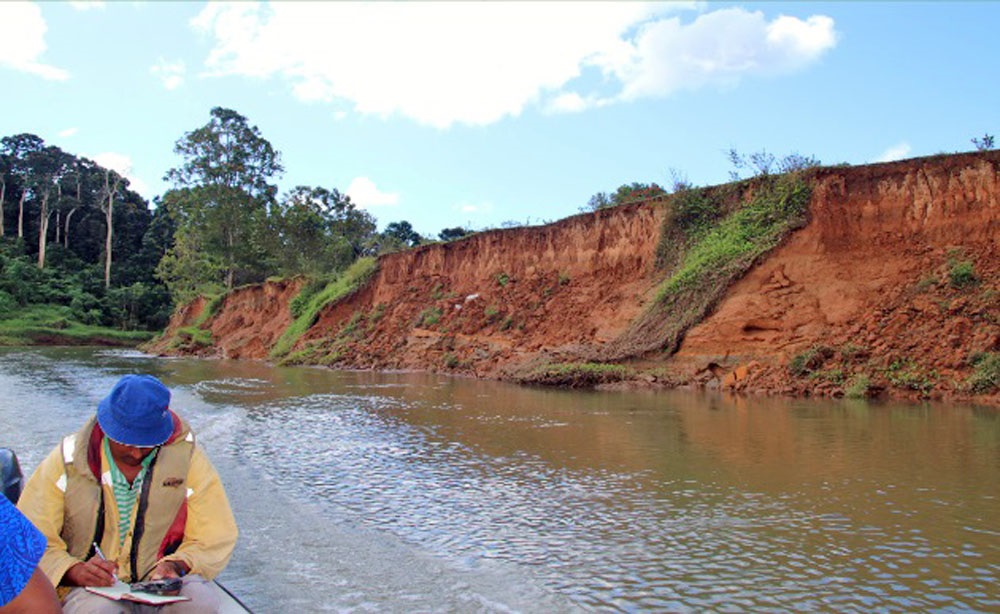 Logging poses a ‘threat’ - The Fiji Times