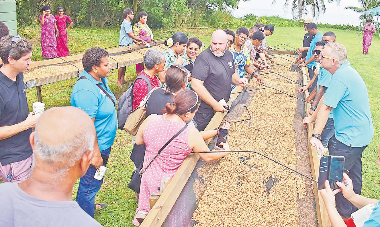 Plans to grow coffee market - The Fiji Times