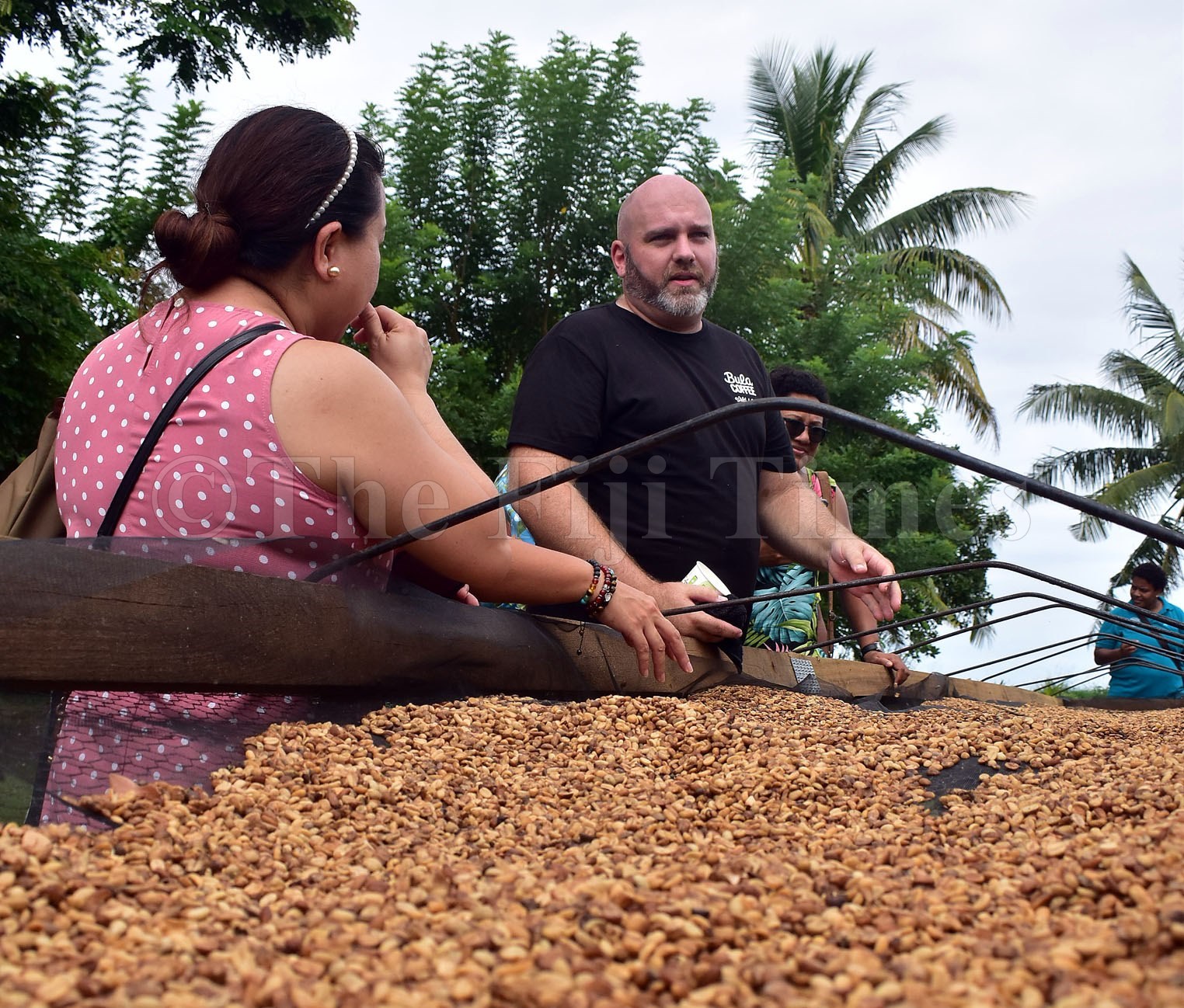 Company taps into agri-tourism industry - The Fiji Times