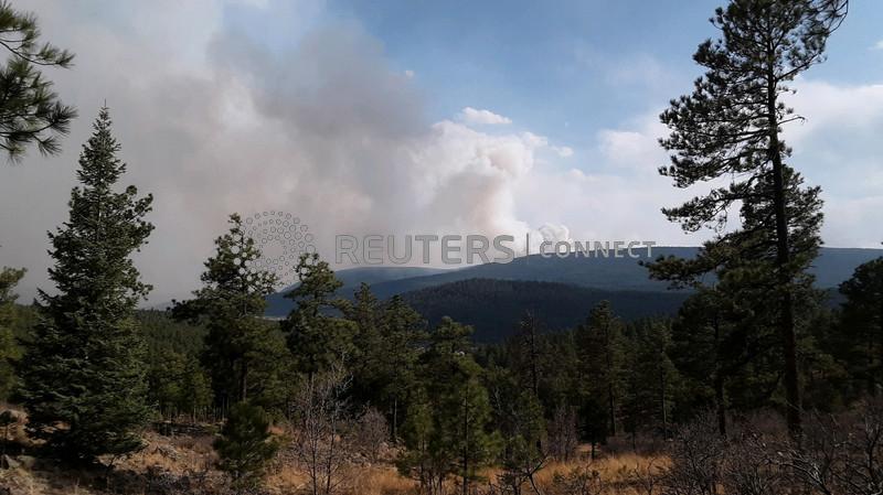 New Mexico wildfire burns 166 homes, thousands ready to evacuate - The ...