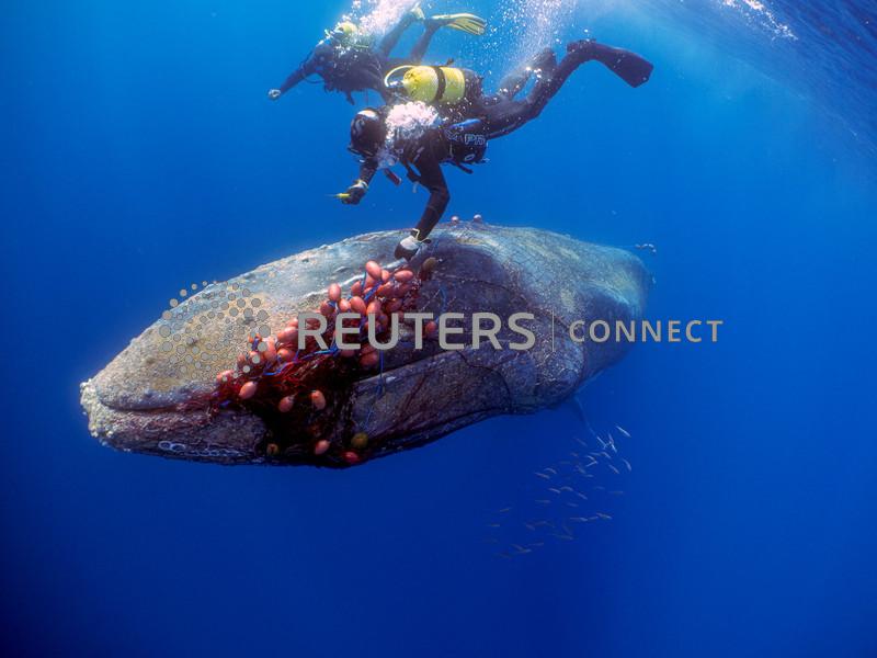 'Best birthday present ever!' says Spanish diver after saving trapped ...