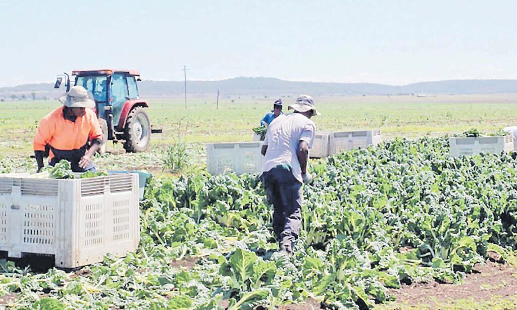 A new era for jobs - The Fiji Times