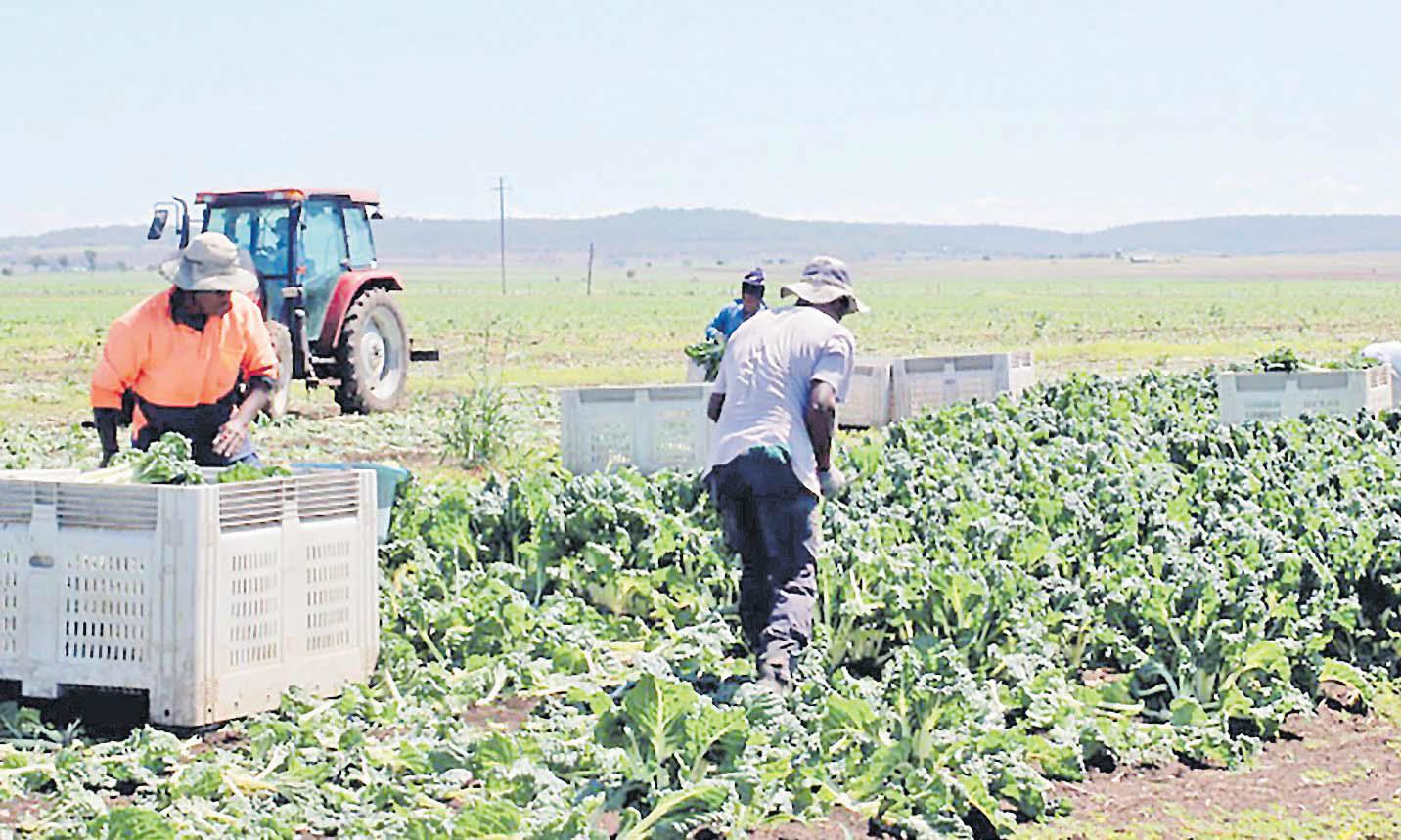 A new era for jobs - The Fiji Times