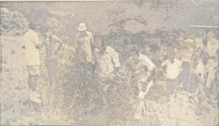 Today in history: Interest in goat production rises - The Fiji Times