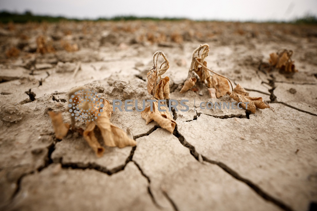 Italy's drought-hit farmers face sea water threat - The Fiji Times