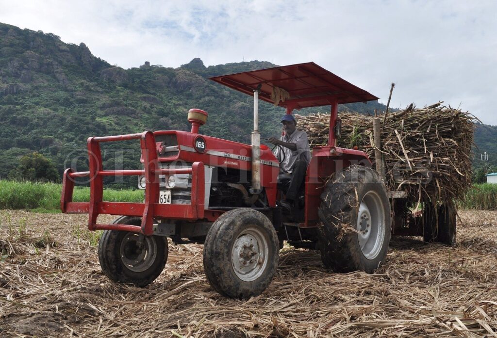 Third cane payment soon - The Fiji Times
