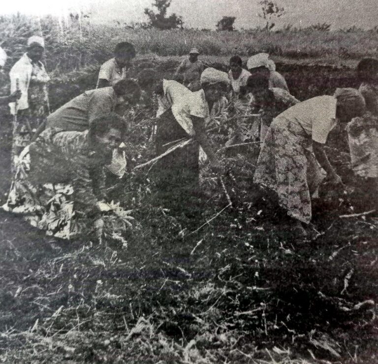 Back in history: Leading iTaukei women - The Fiji Times