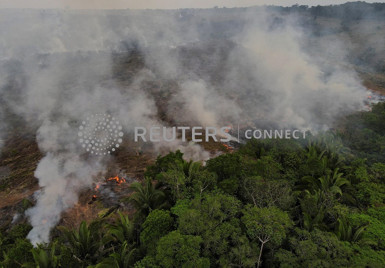 Explainer-Causes and consequences of Amazon fires and deforestation ...