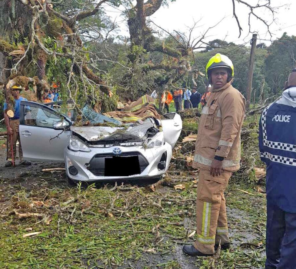 Car crushed by branch - Couple dead, one in hospital - The Fiji Times