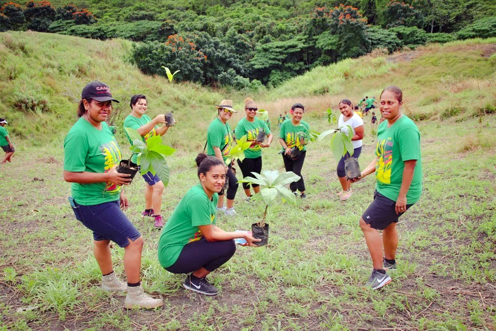 Board supports tree planting initiative - The Fiji Times