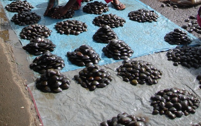 New Zealand food safety authority issues warning to consumers - The ...