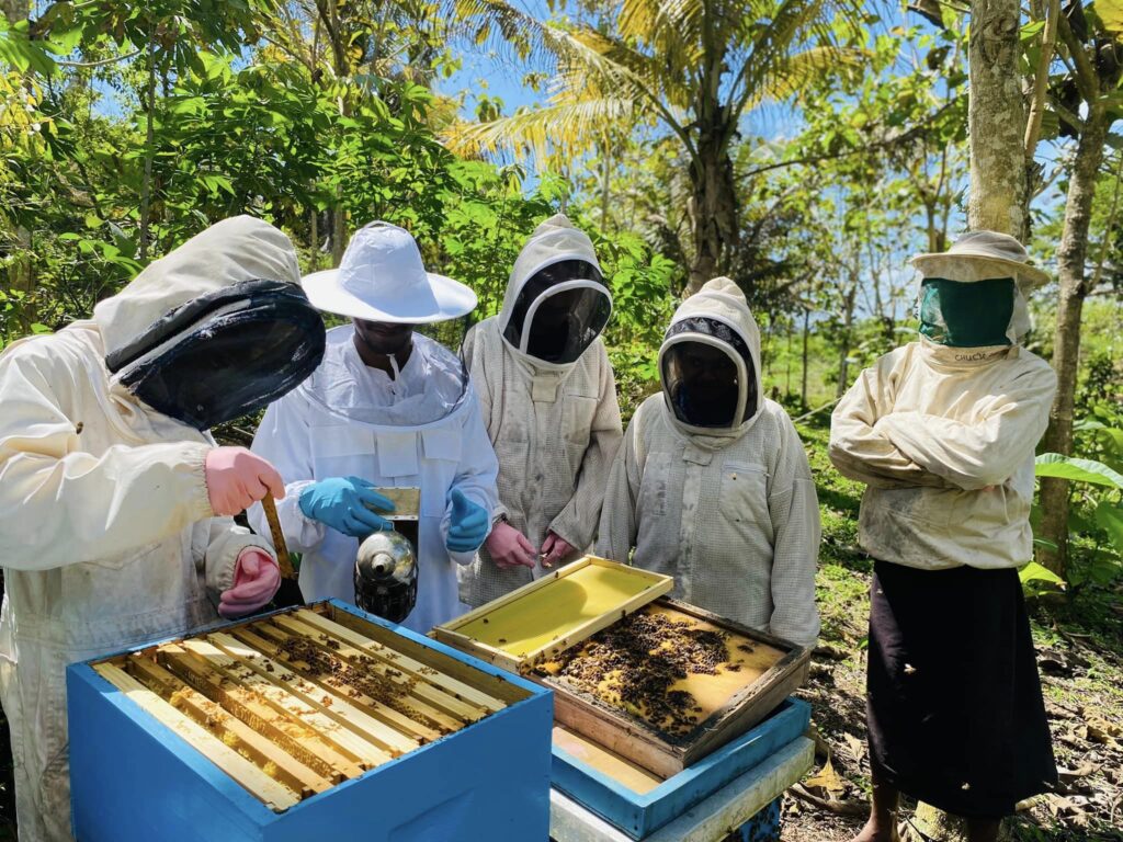 255 tonnes of honey produced in 2021 – MP - The Fiji Times