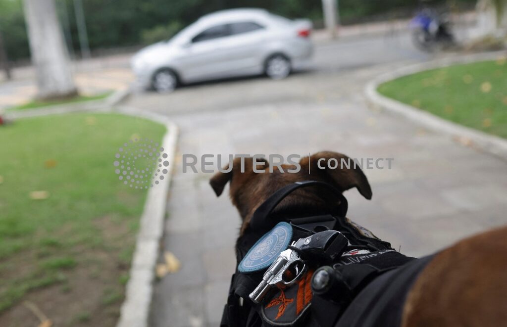 Brazil's furriest police corporal becomes internet sensation - The Fiji ...