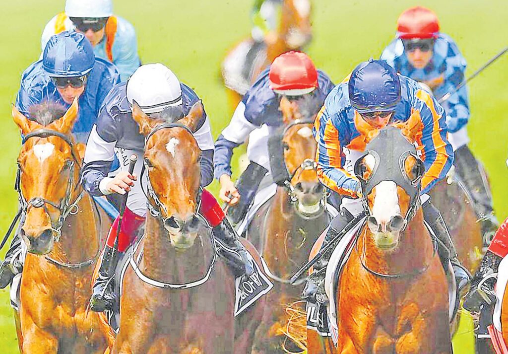 OPINION: The Melbourne Cup - The race that stops a nation - The Fiji Times
