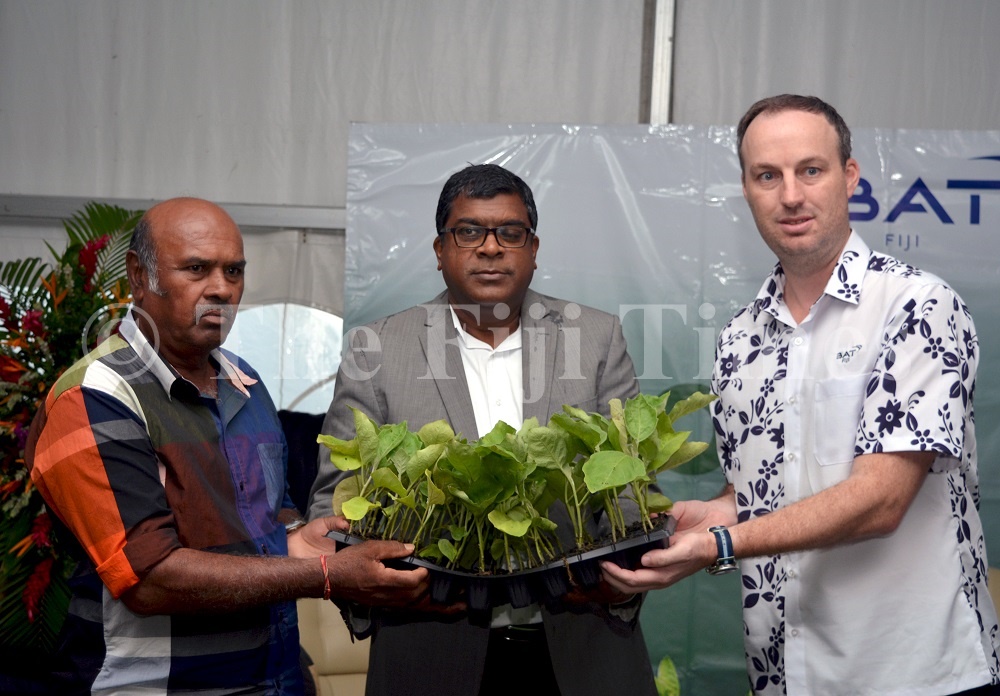 Farmers to receive vegetable seedlings - The Fiji Times