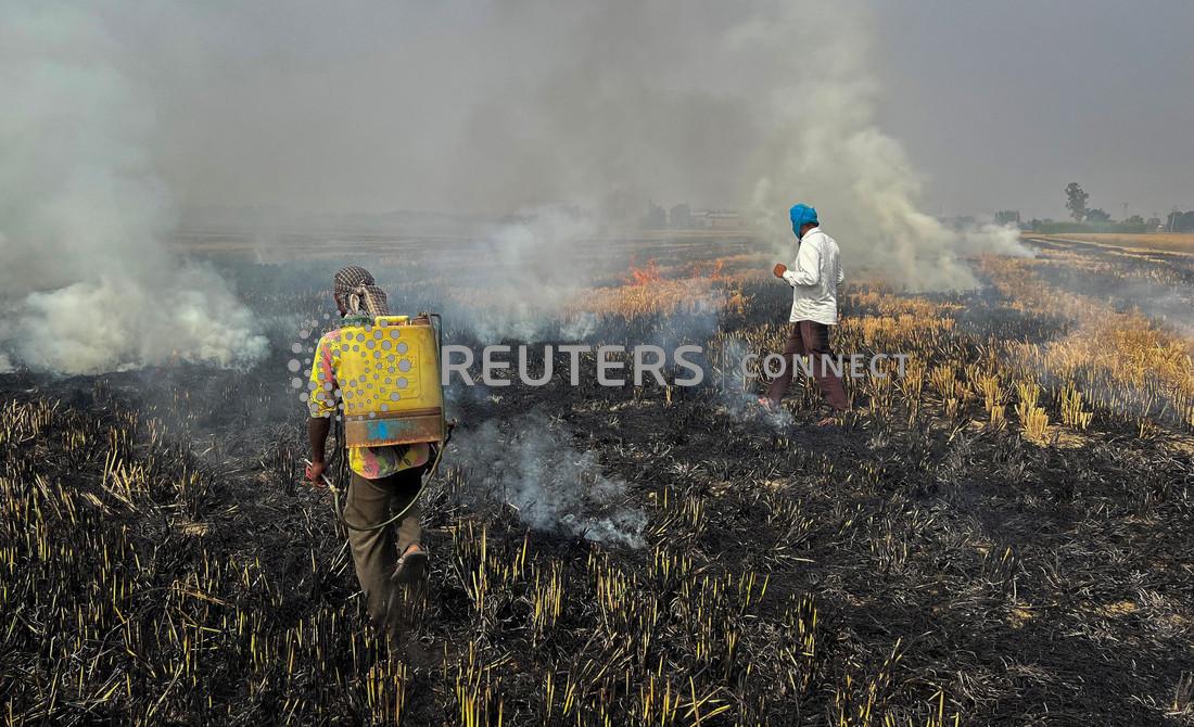 Farmers cite lack of options as stubble burning turns air toxic in ...