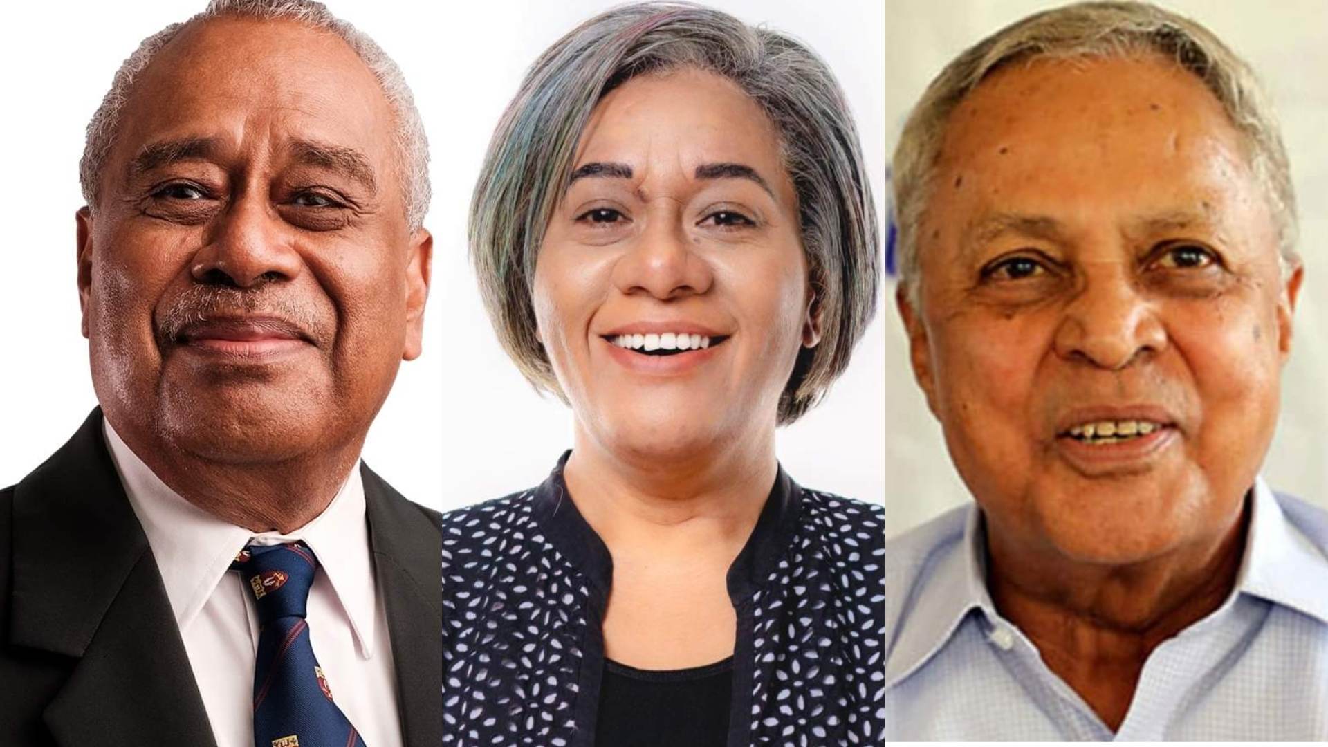 Parties call for audit - The Fiji Times
