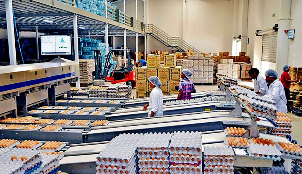 From a backyard farm to a thriving business - The Fiji Times