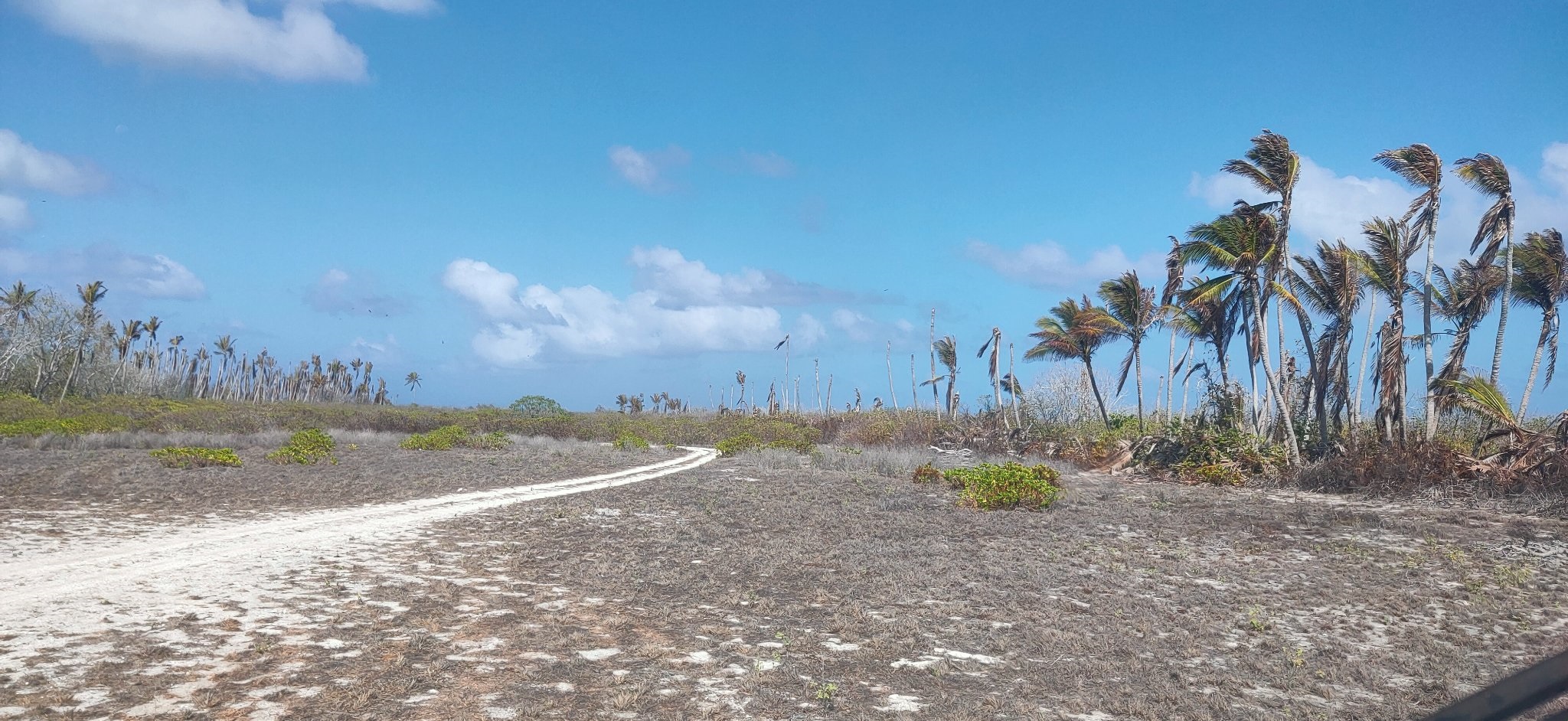 'The island has had no rain in two years' says MP for Arorae in ...