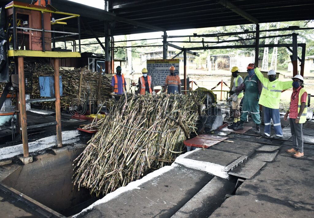 Rise in global sugar prices 'good news' - The Fiji Times