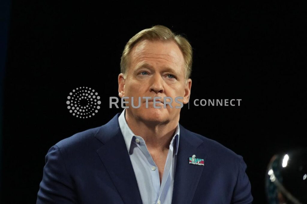 NFL-Still work to do says Goodell as old problems resurface - The Fiji ...