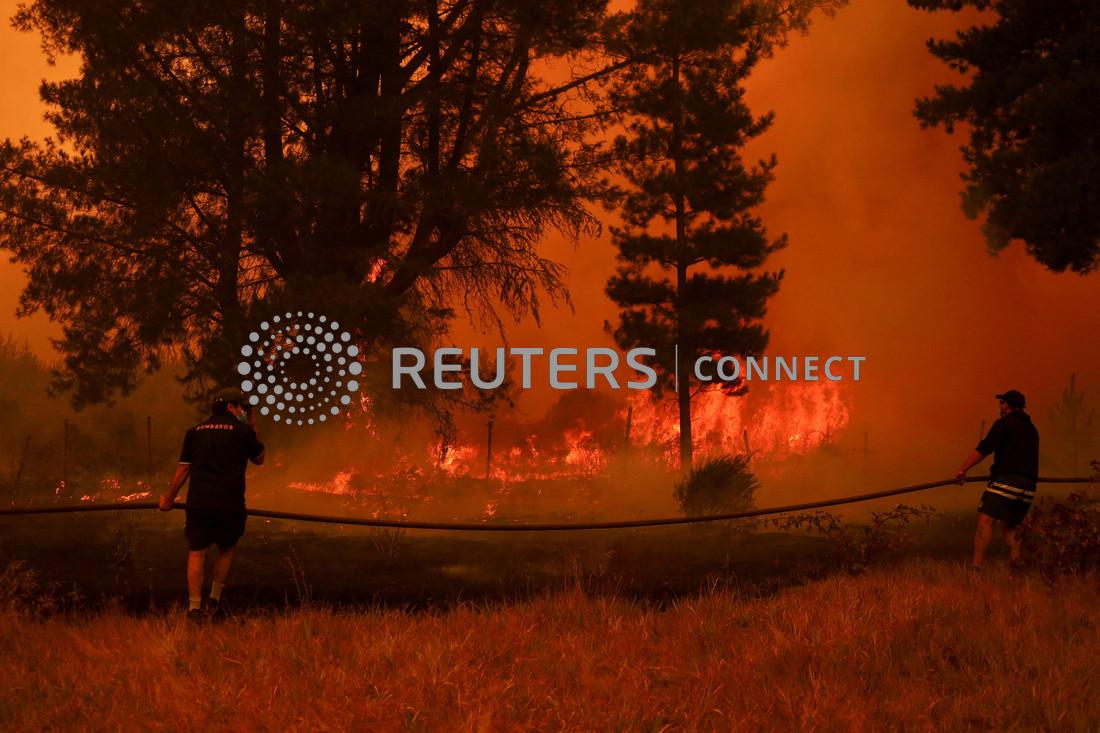 Dozens of wildfires torch forests in Chile, death toll at 22 - The Fiji ... Dozens of wildfires torch forests in Chile, death toll at 22 - The Fiji ...