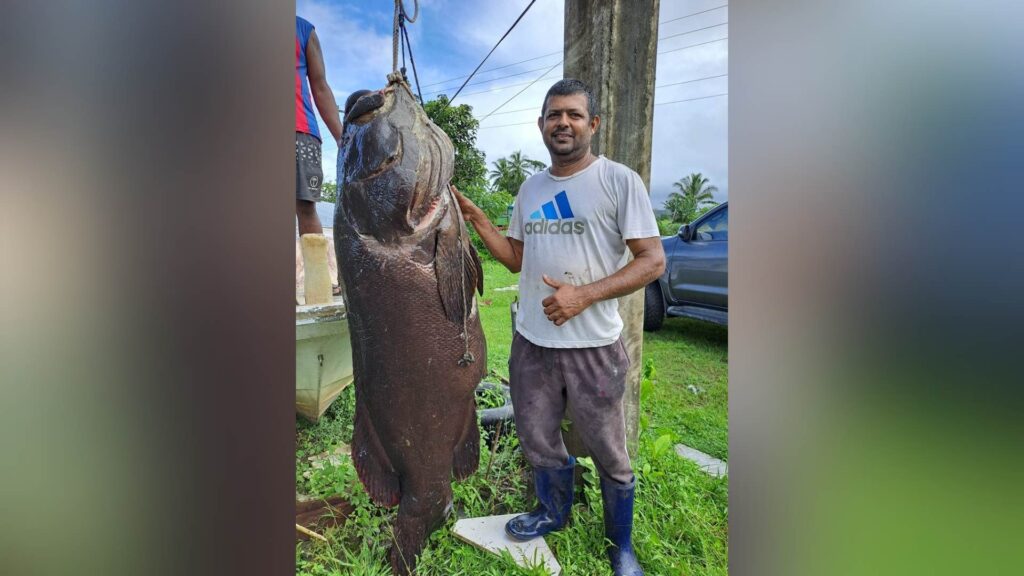 Catch of the day - The Fiji Times