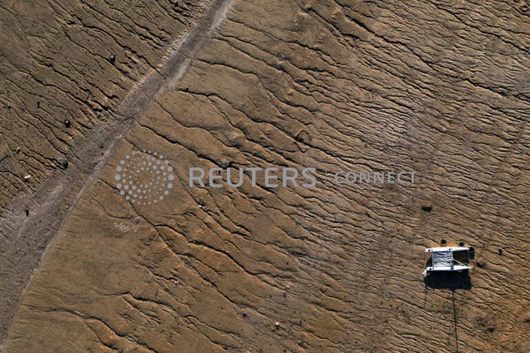 Farming and tourism under threat as winter drought dries up France's ...