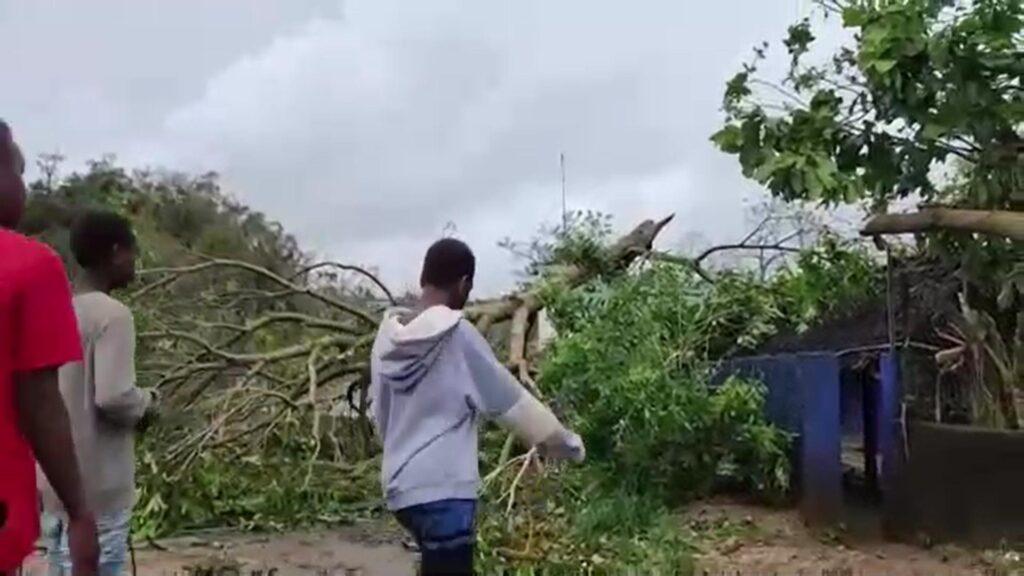 After twin cyclones leave thousands homeless, Vanuatu takes climate ...