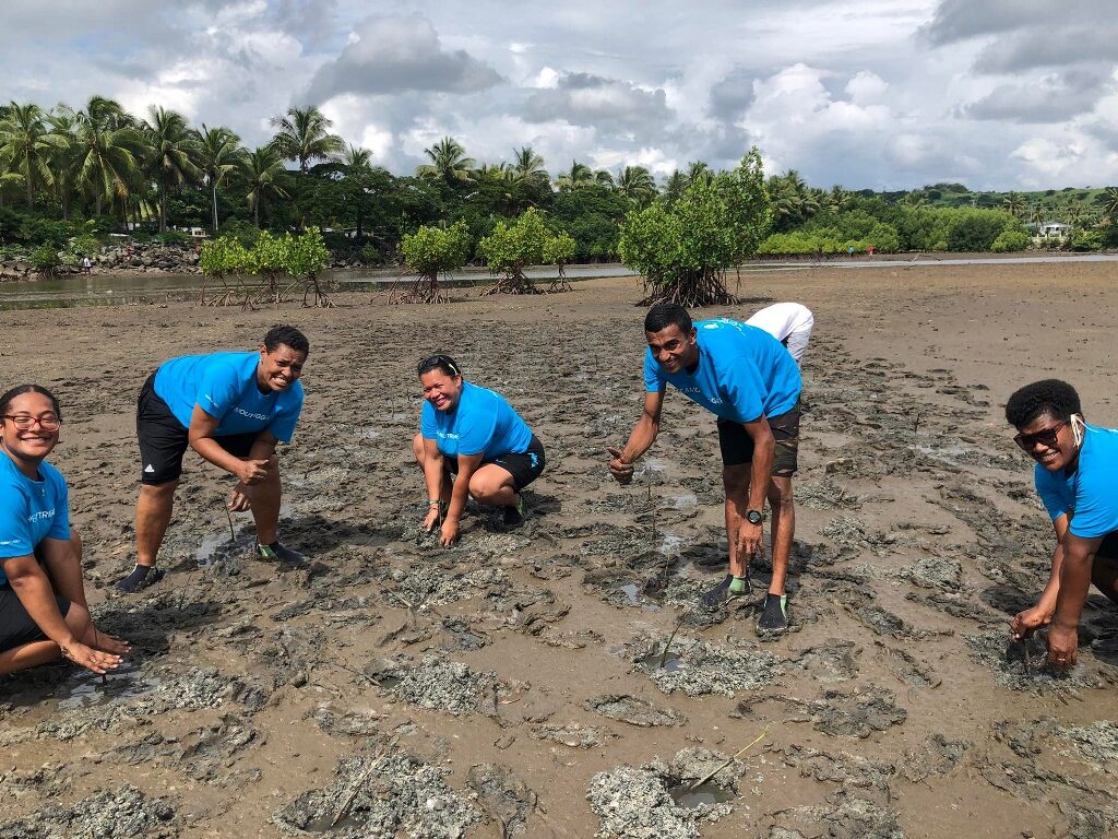 Vodo: Tree survival a priority - The Fiji Times