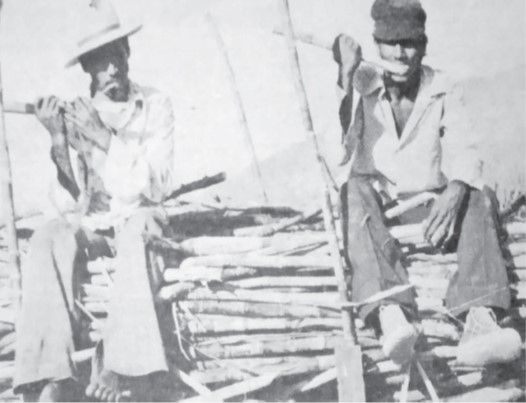 153 years on: Strike causes mill standstill - The Fiji Times
