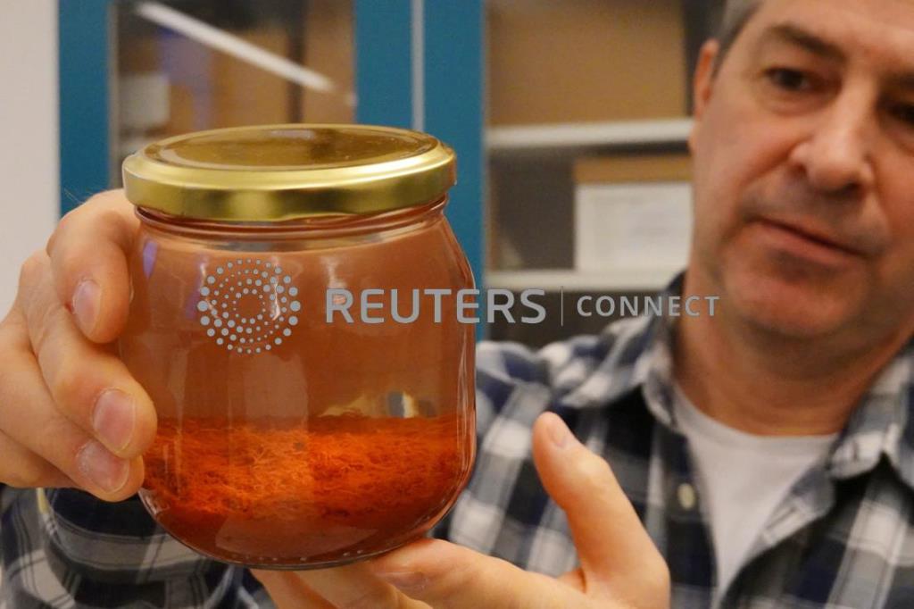 Archaeologists find well-preserved 500-year-old spices on Baltic ...