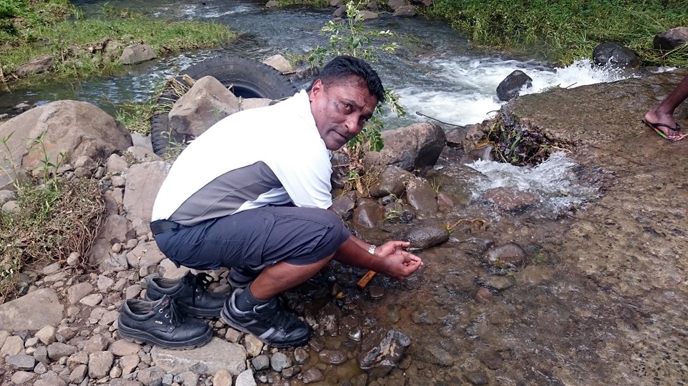 Citizenship vs belonging - Changing the perception of race to stop ...