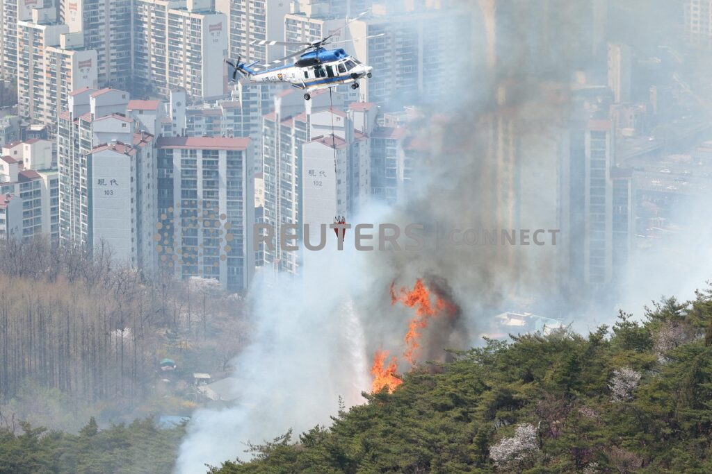 Forest fire in central Seoul forces evacuation of 120 homes - The Fiji ...