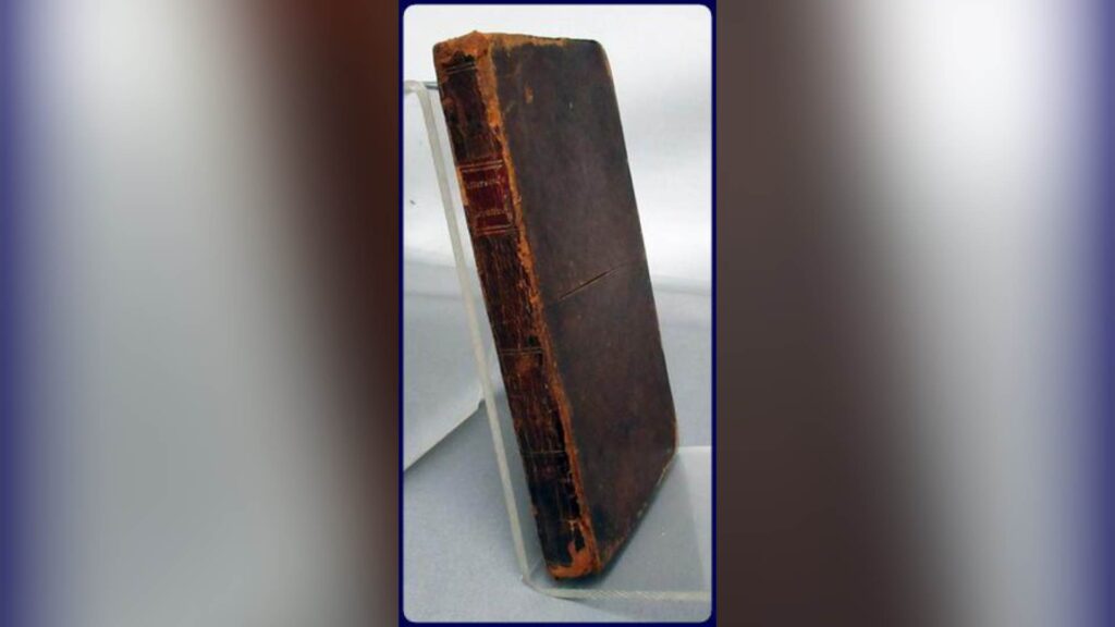 The adventures and struggles of Samuel Patterson - The Fiji Times