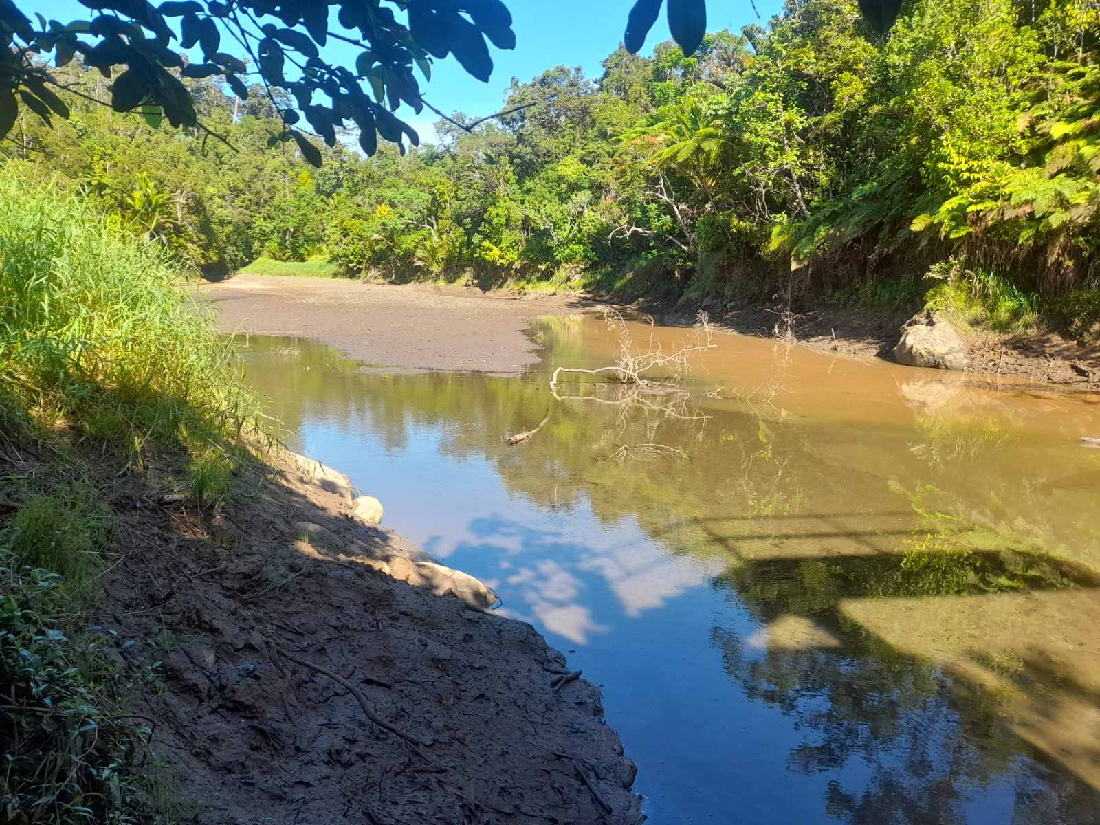 Water situation: Dry weather continues; low raw water extraction ...