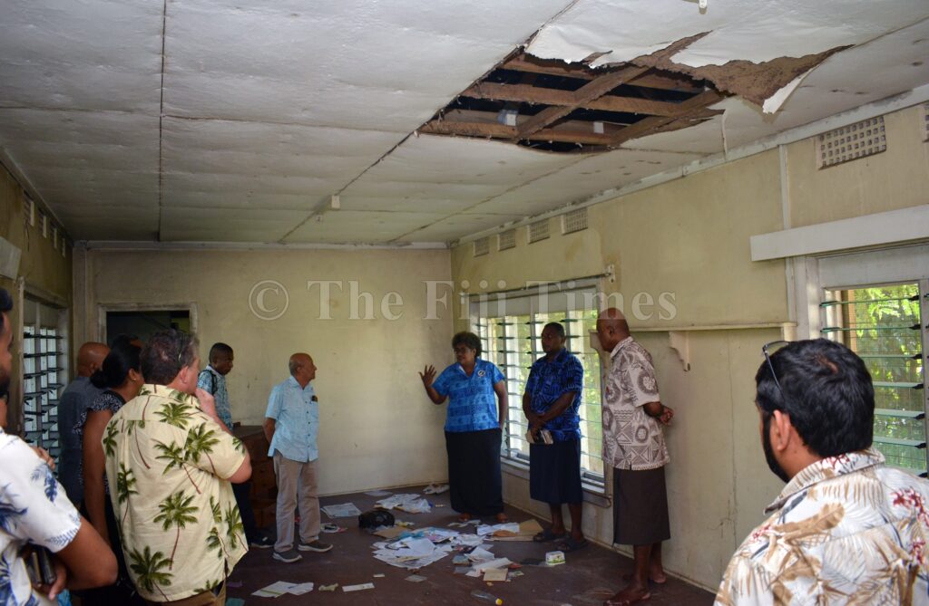 Termite control program | LCC carries out scoping works of infested ...