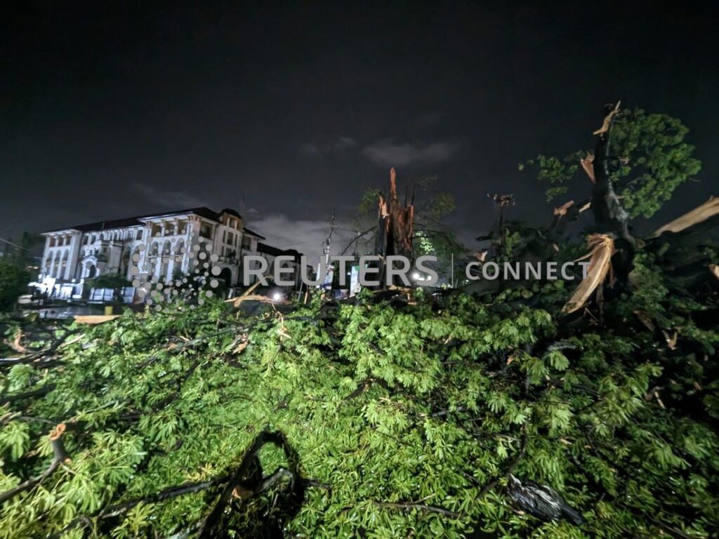 Storm fells Sierra Leone's historic cotton tree, a symbol of freedom ...