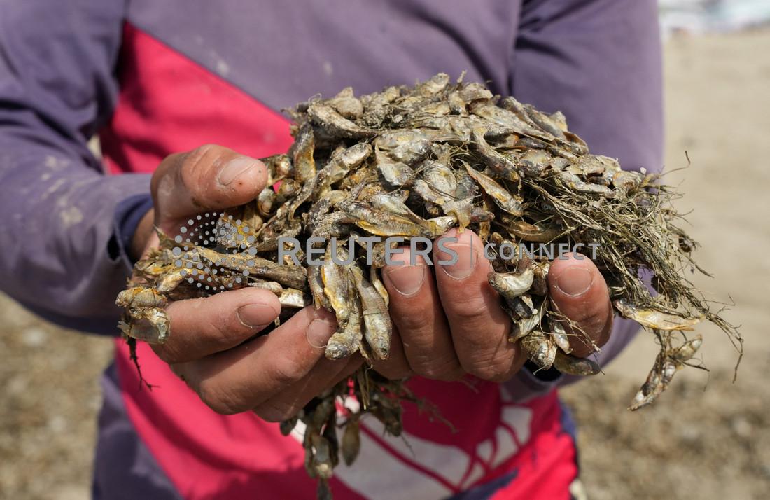 Drought drives economic exodus from Iraq's rivers and marshlands - The ...