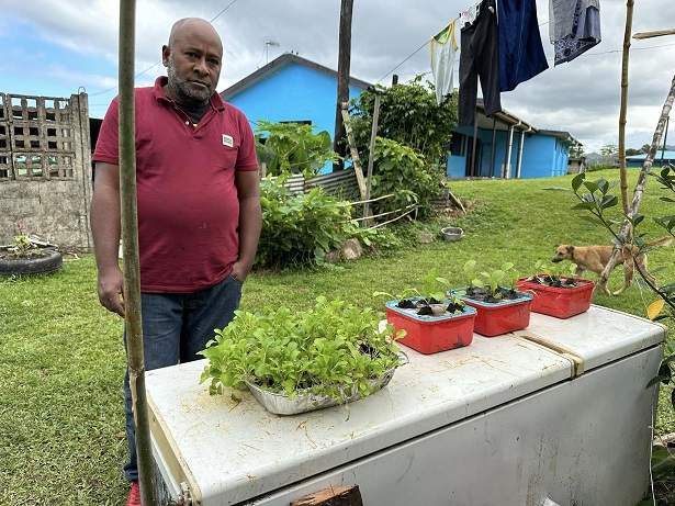 Healthy meals, happy families - The Fiji Times