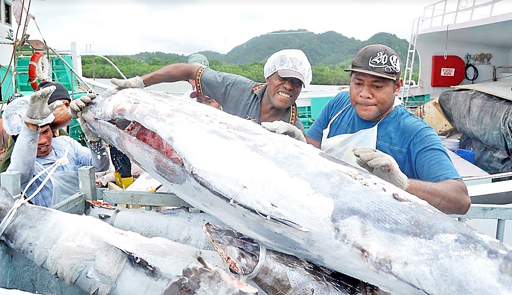 Fisheries sector’s up again’ | Ministry also wants better policing of ...