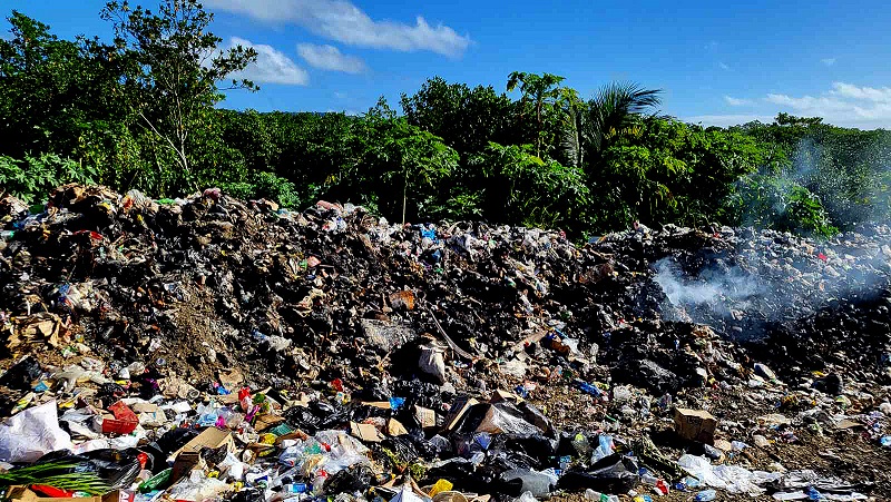Deo sounds mangrove warning, dump caution - The Fiji Times