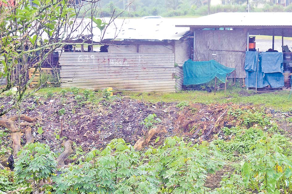 Behind the News | Beyond Raiwaqa's bush toilet - The Fiji Times